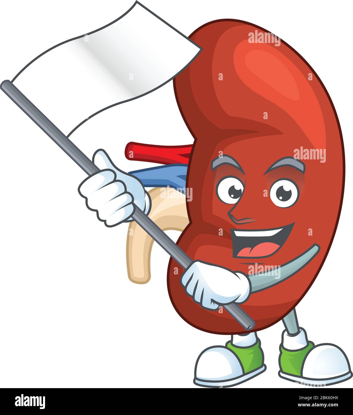 Cute cartoon character of right human kidney holding white flag Stock ...