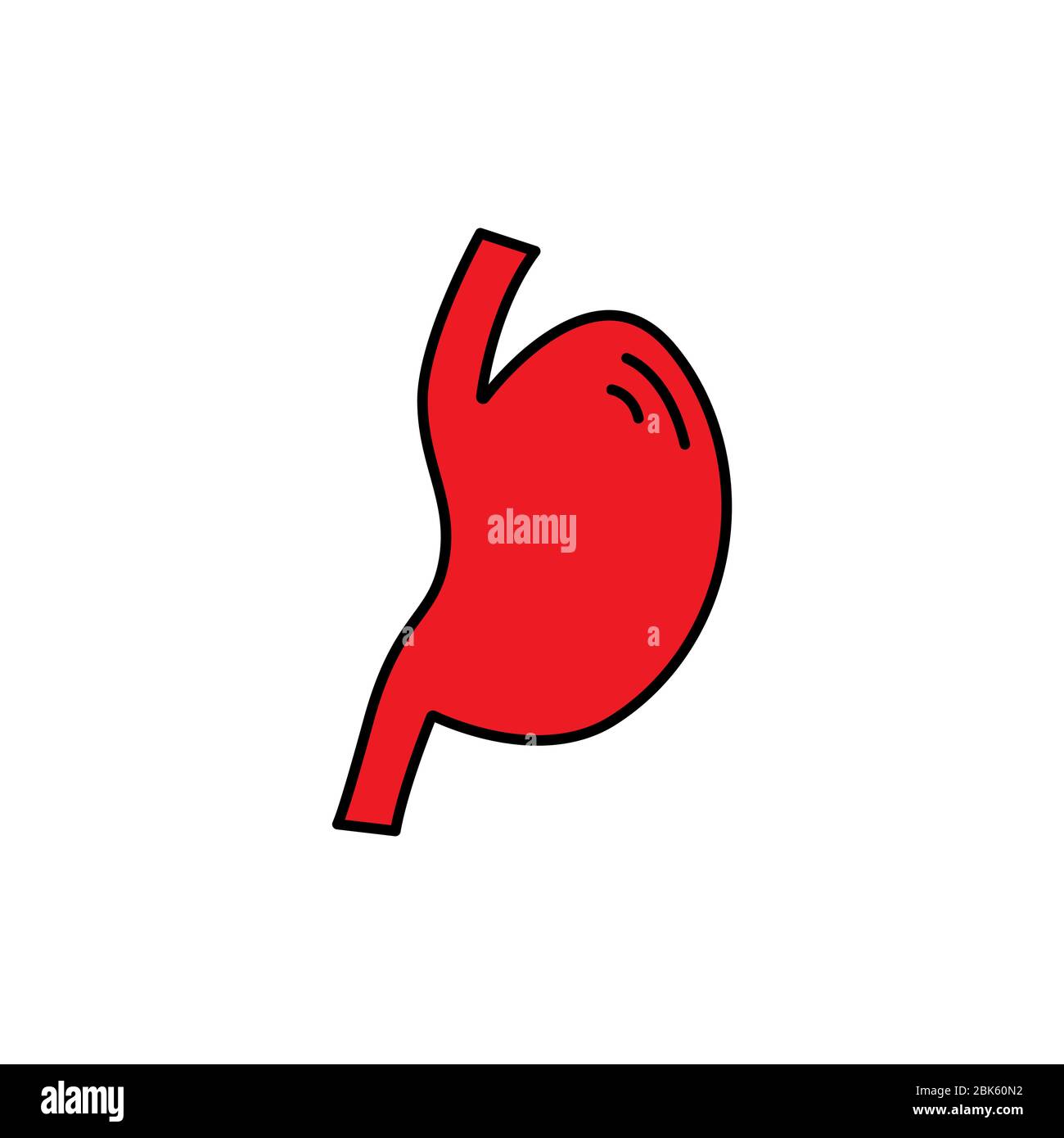 Stomach vector graphic design illustration Stock Vector Image & Art - Alamy