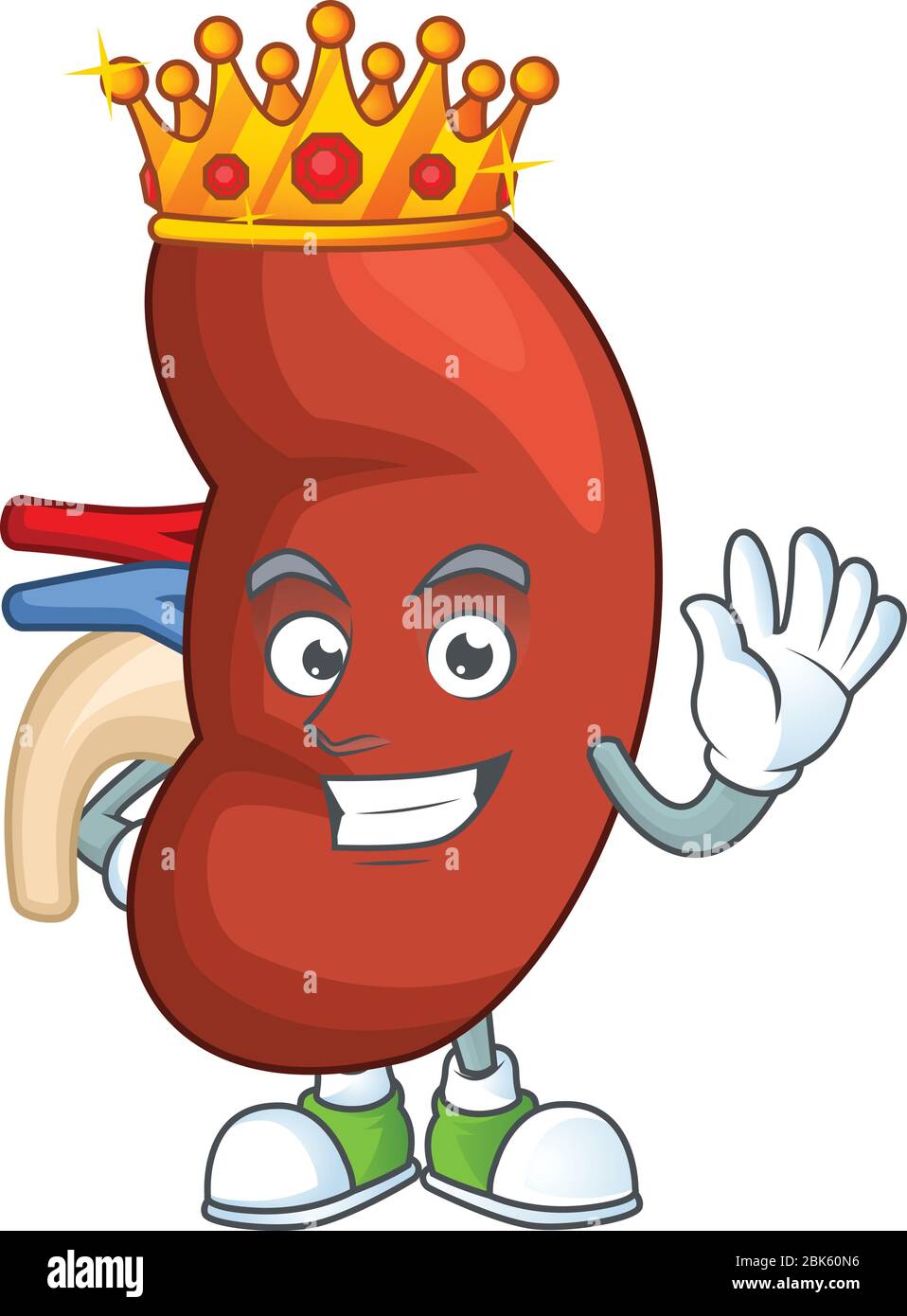The Charismatic King of right human kidney cartoon character design ...