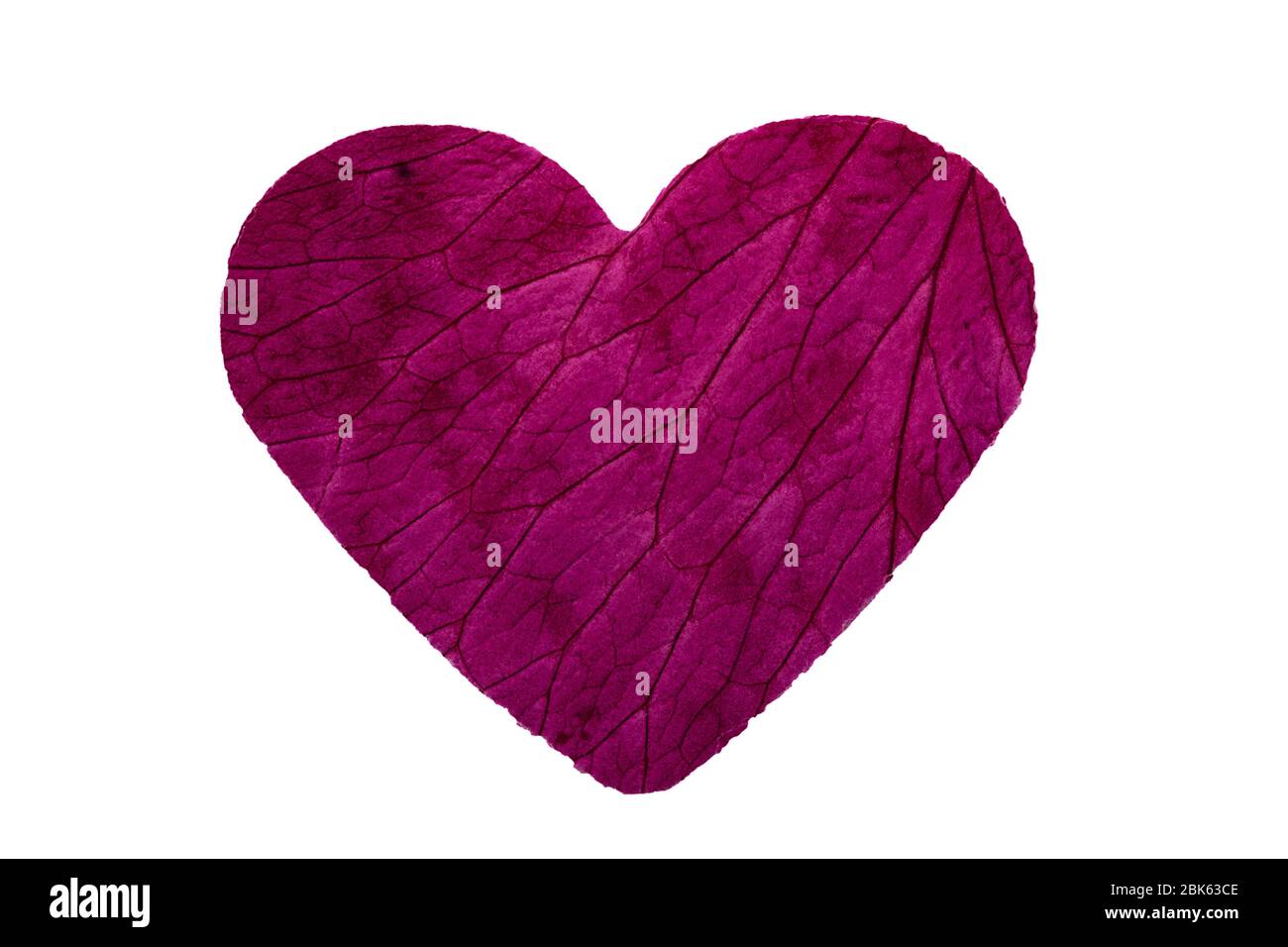 close up of a rose petal in the shape of a heart and showing the leaf ...