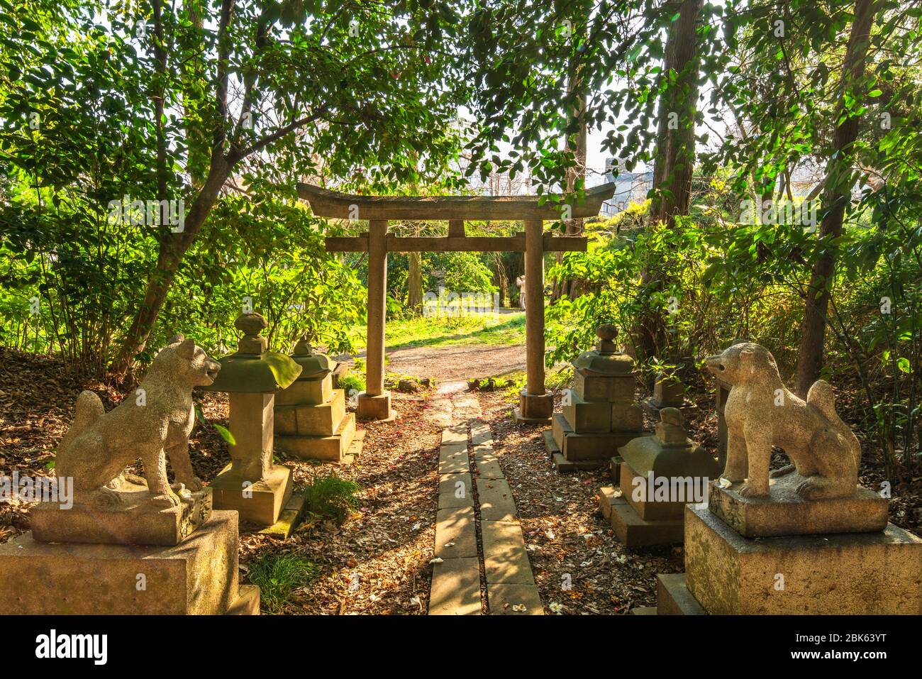 tokyo, japan - march 20 2020: Shinto shrine Torii stone gate and fox ...