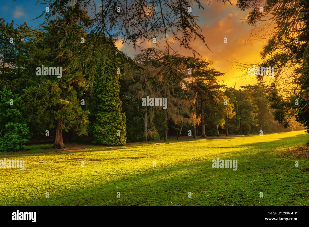 Golden hour of light hi-res stock photography and images - Alamy