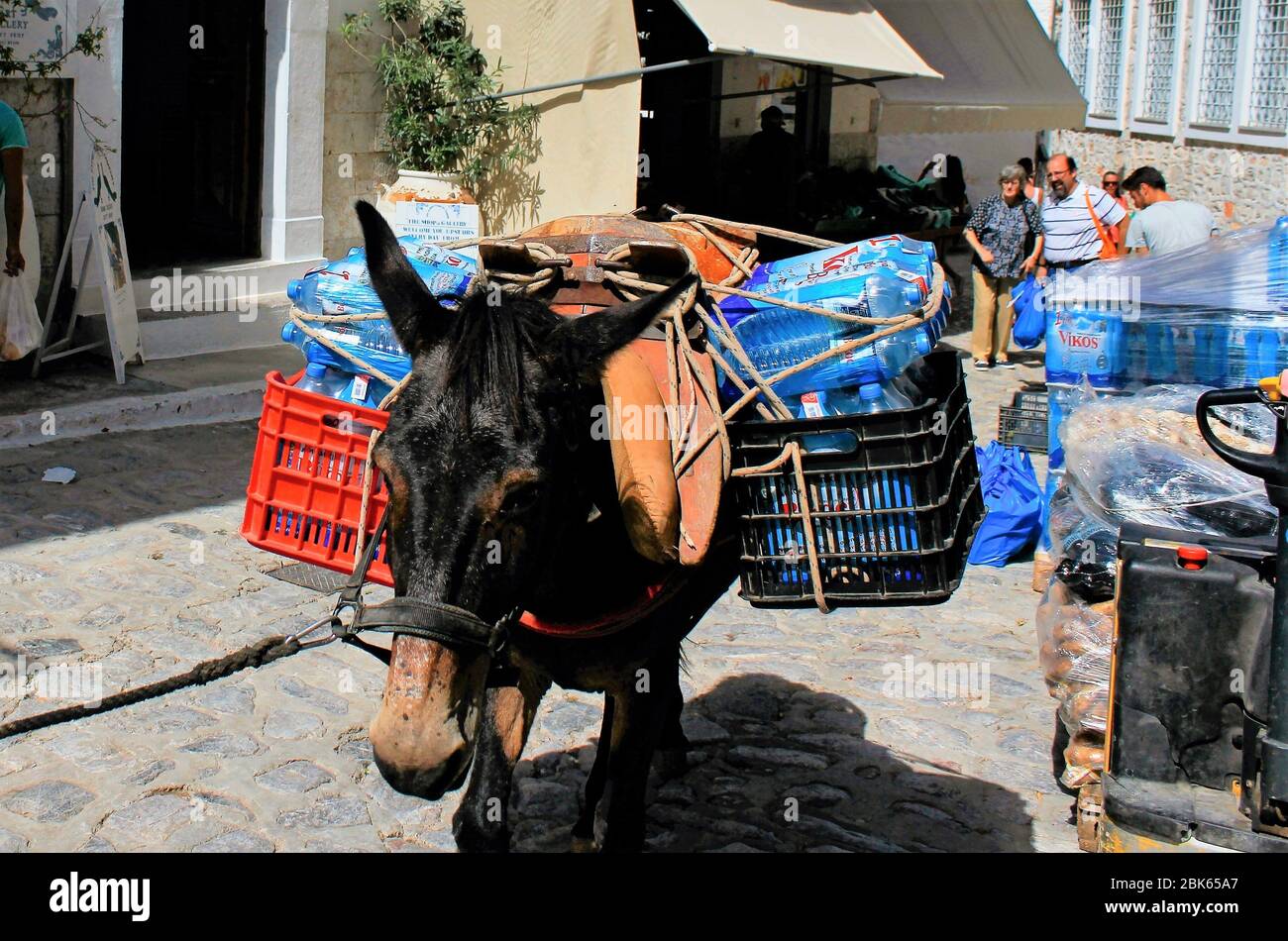 Donkey carrying goods hi-res stock photography and images - Alamy