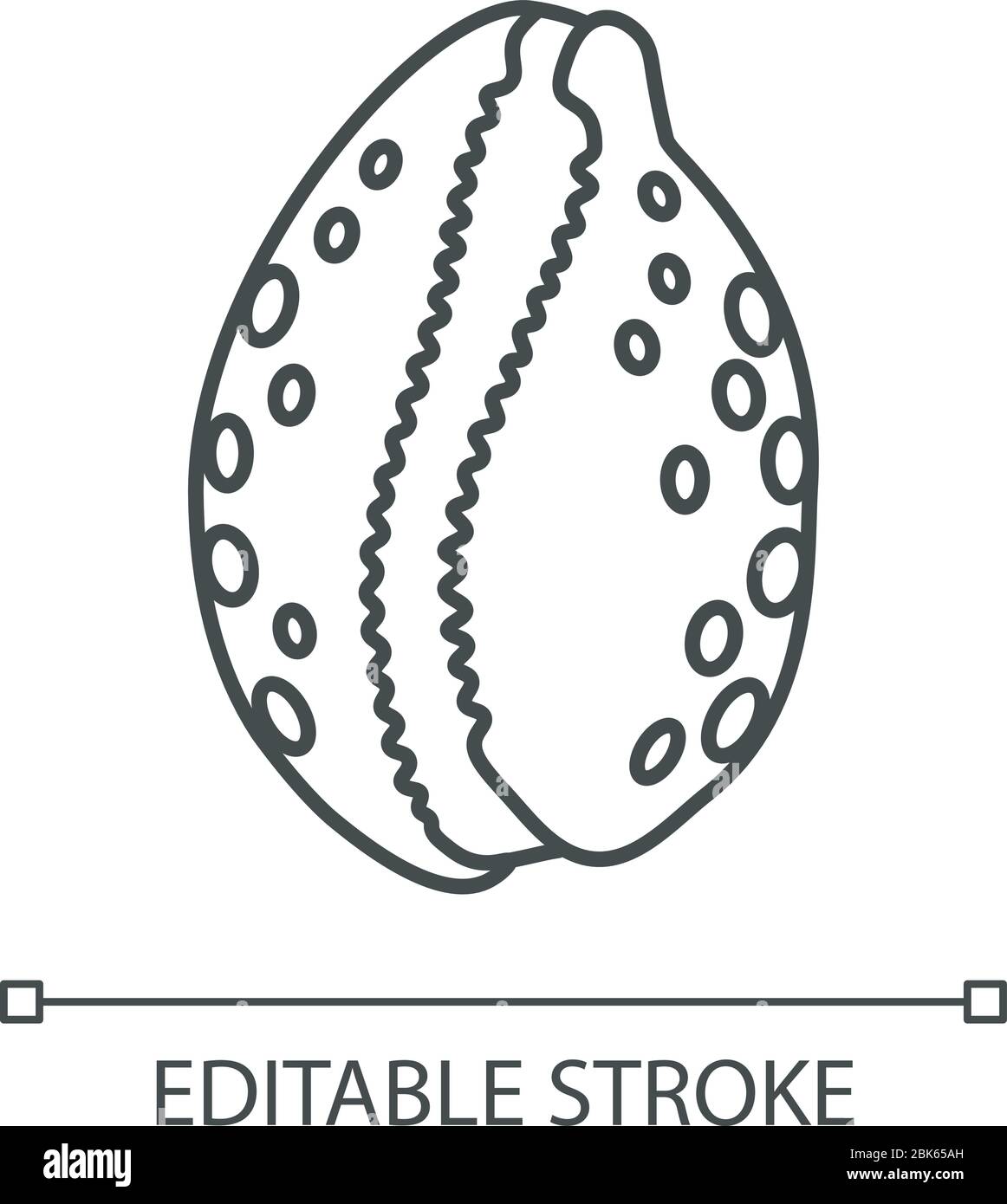 Cowrie shell water Stock Vector Images - Alamy