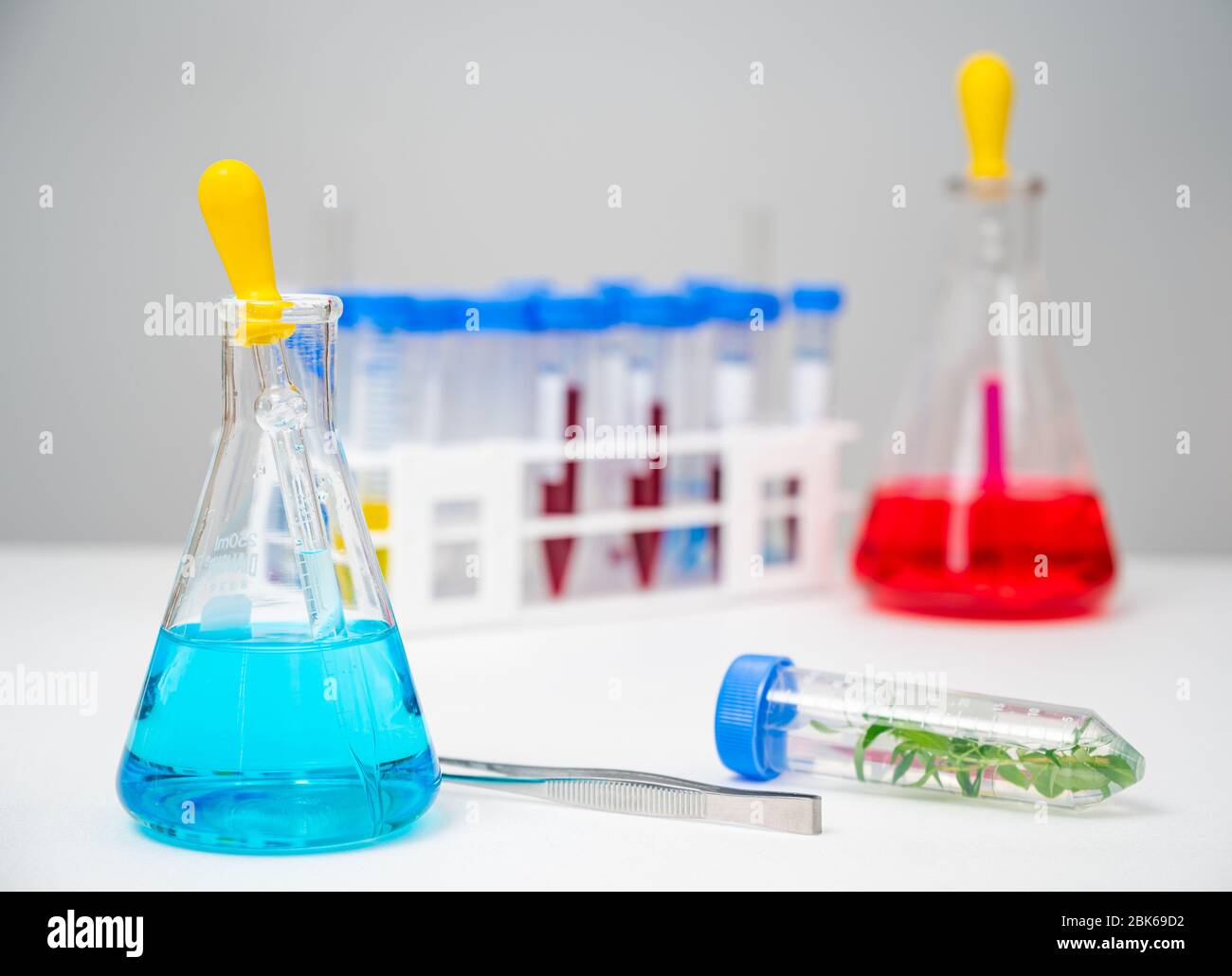 Any of the various tools and containers used in experiments on a white ...