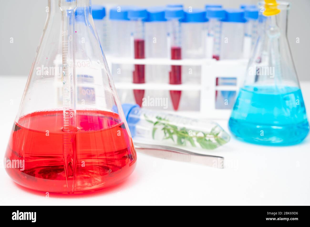 Any of the various tools and containers used in experiments on a white ...