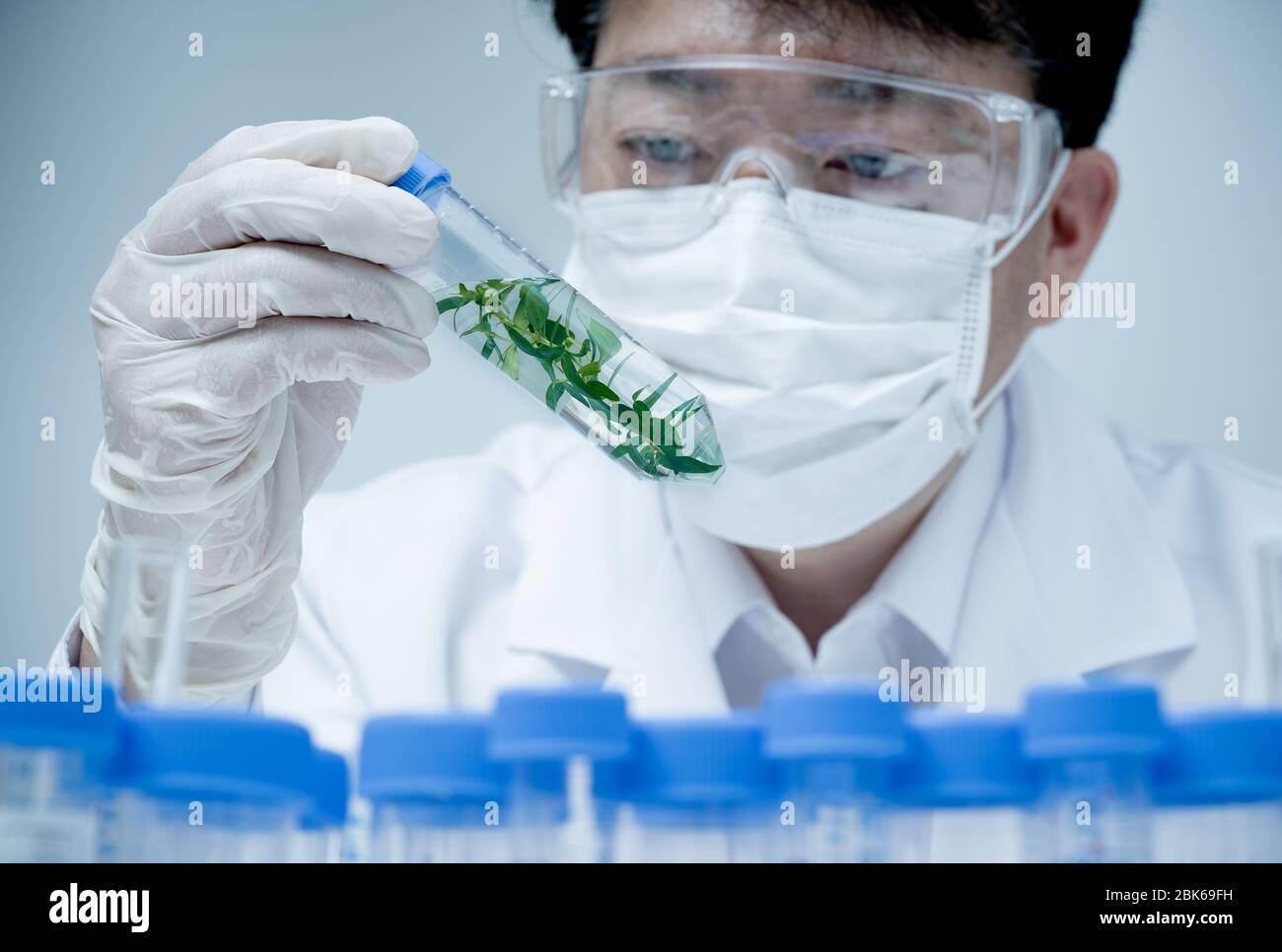 Male specimens hi-res stock photography and images - Alamy