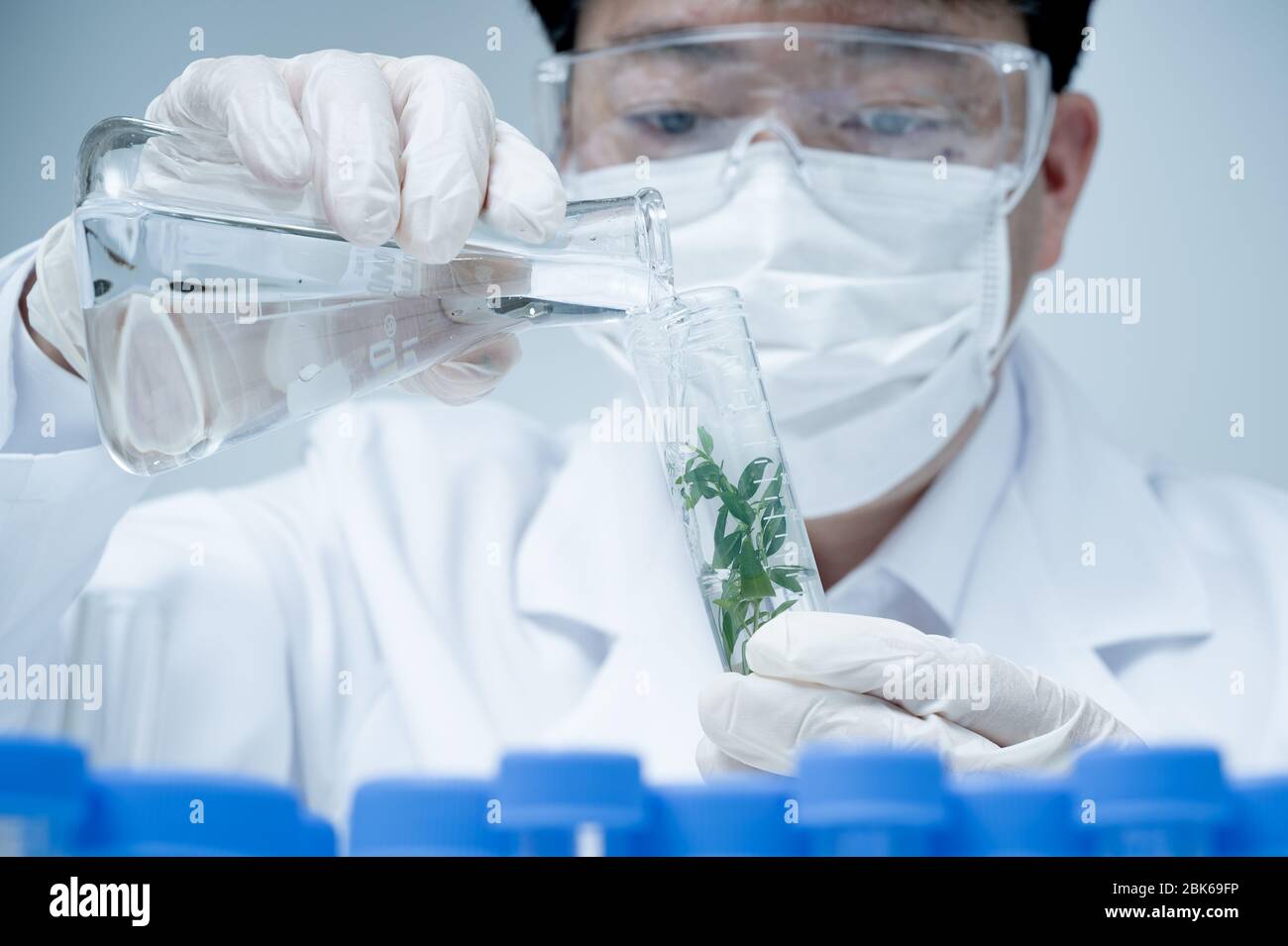 Botany lab hi-res stock photography and images - Alamy