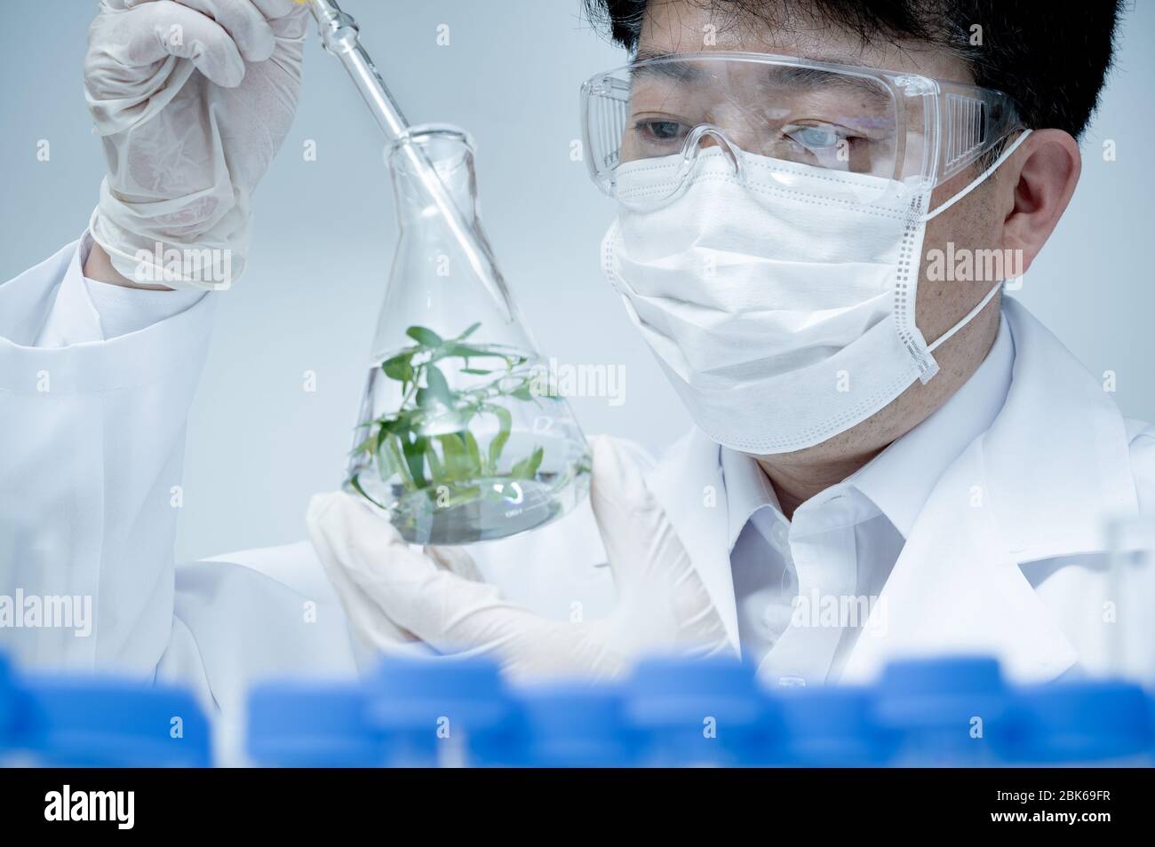 Biology specimens hi-res stock photography and images - Alamy