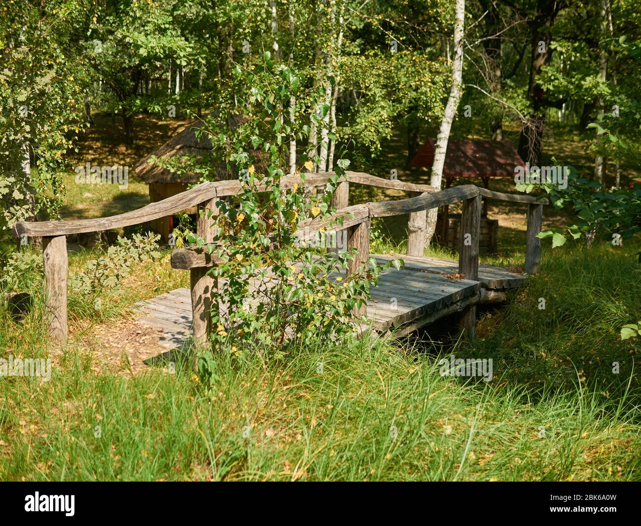 Old bridge over brook in forest hi-res stock photography and images - Alamy