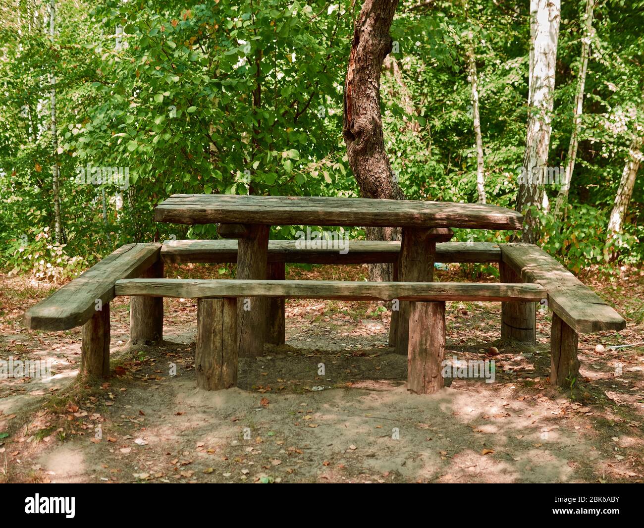 Rest place with bench and table in the woods. Local tourism forest ...