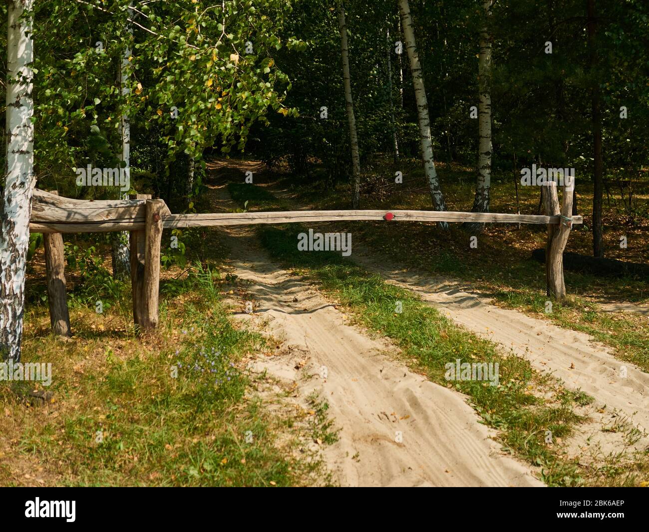 The old barrier closed road in the woods, locking way to the forest ...