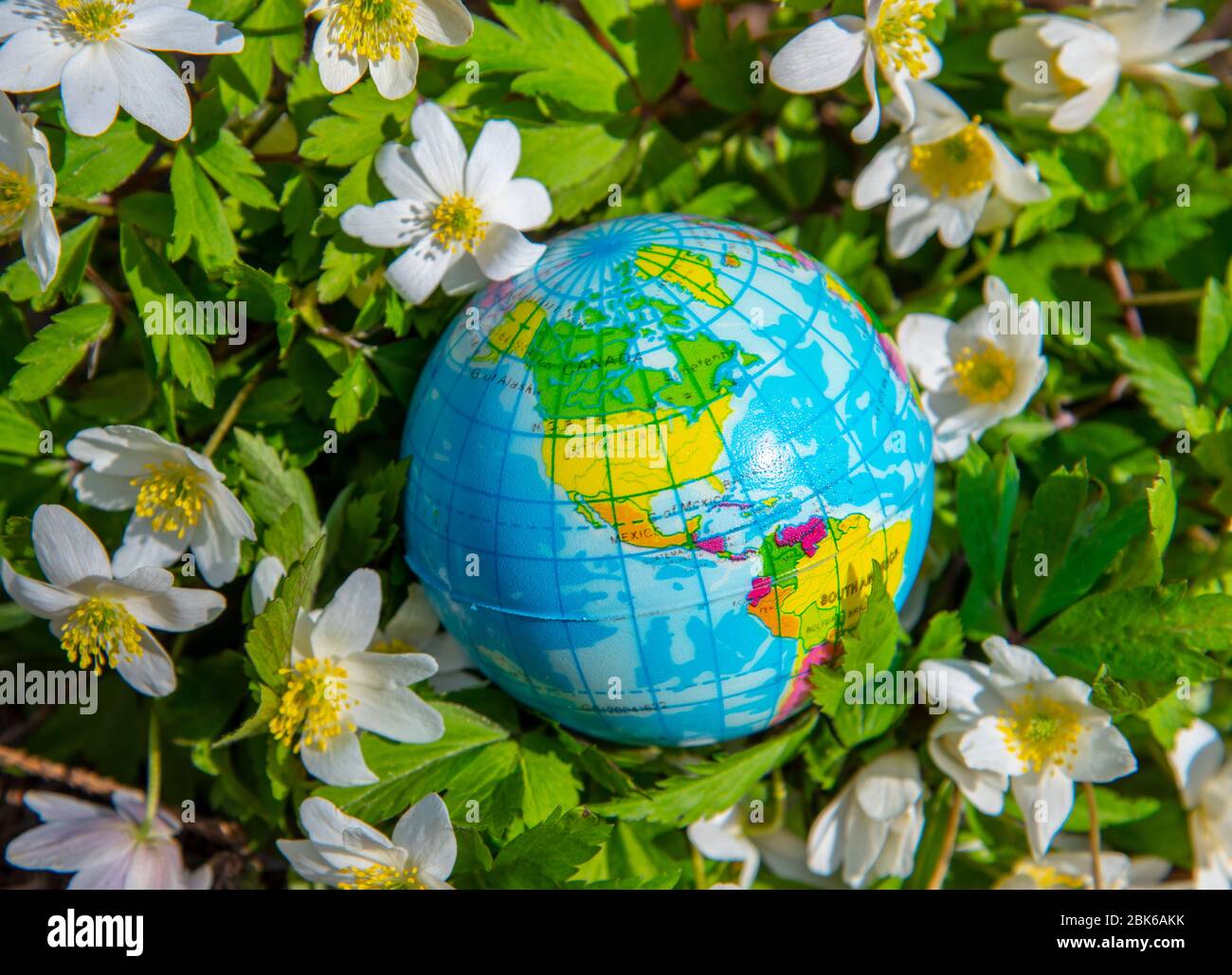 The globe is surrounded by bright spring flowers Stock Photo - Alamy