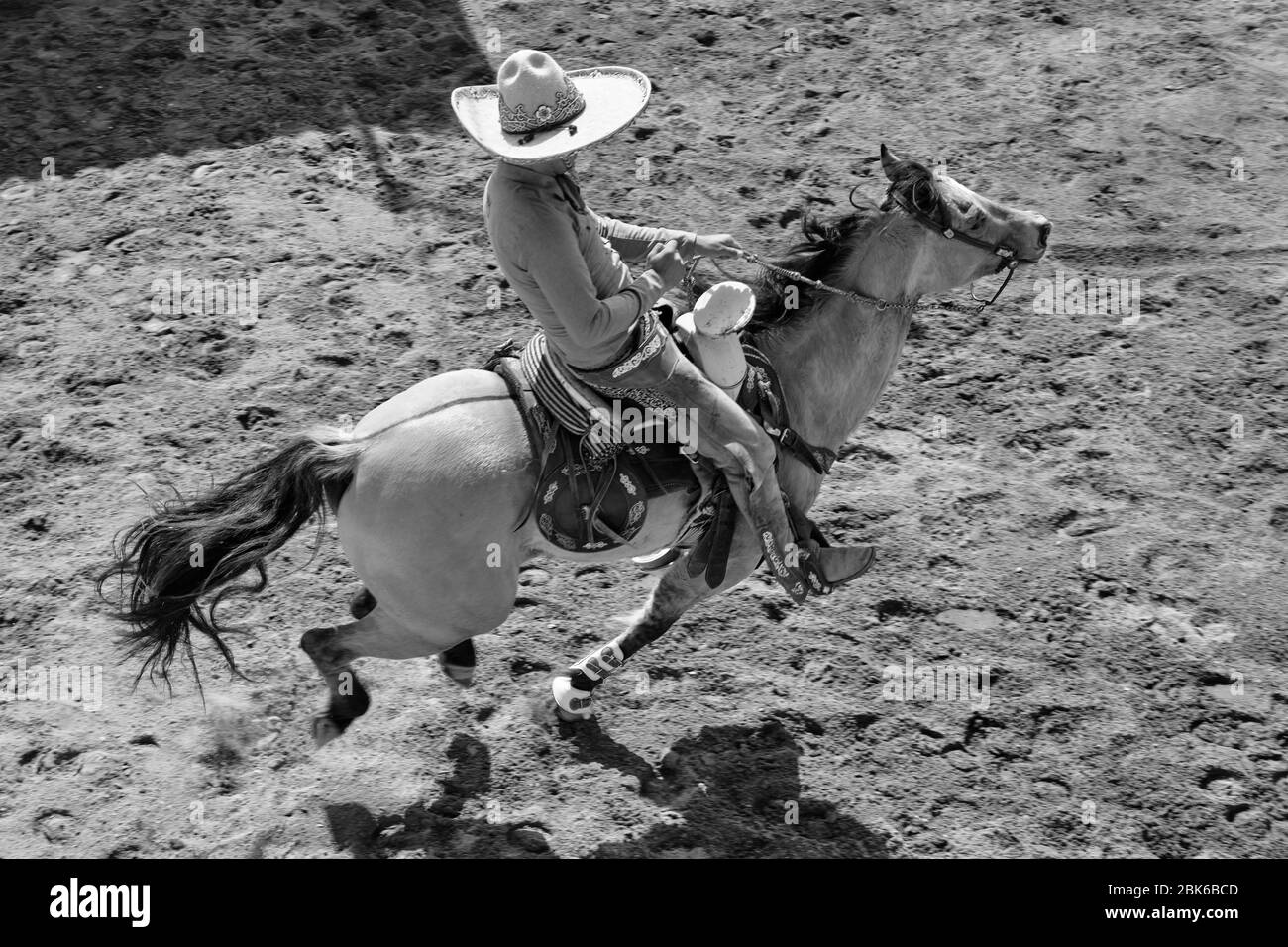 Mexican cowboy showing his skills as a horse rider during a "charreria ...