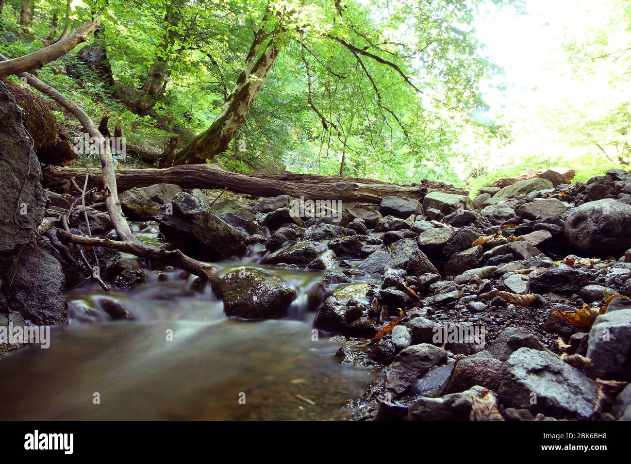 Fast shutter speeds hi-res stock photography and images - Alamy