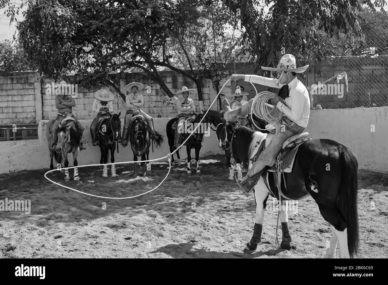 Mexican cowboy showing his skills with the lasso on top of a horse ...