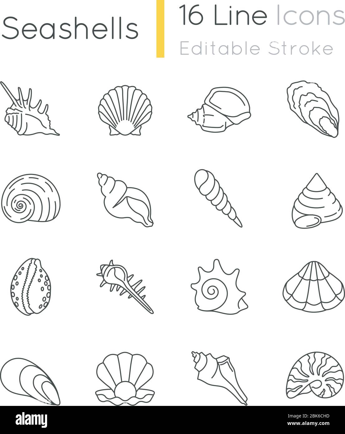 Set different seashells on Stock Vector Images - Alamy