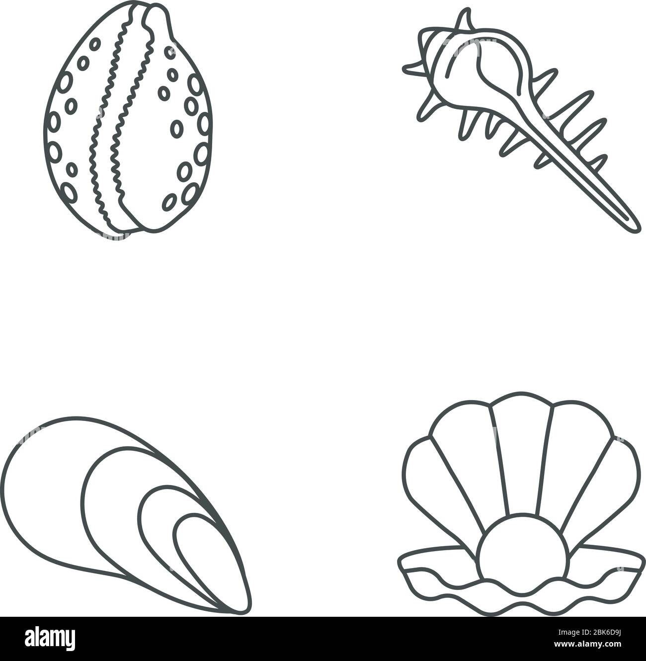 Different sea shells pixel perfect linear icons set Stock Vector Image ...