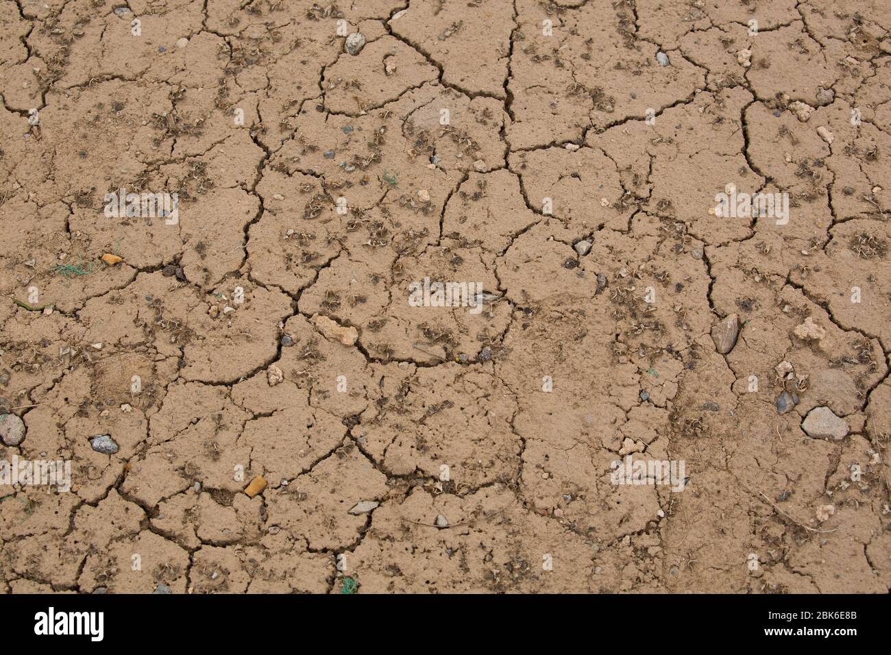 Dry soil with cracks Stock Photo - Alamy