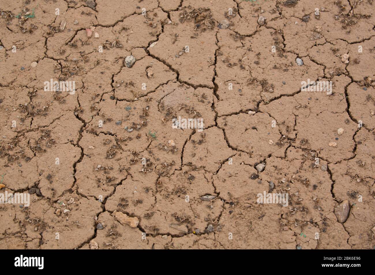 Compacted soil garden hi-res stock photography and images - Alamy