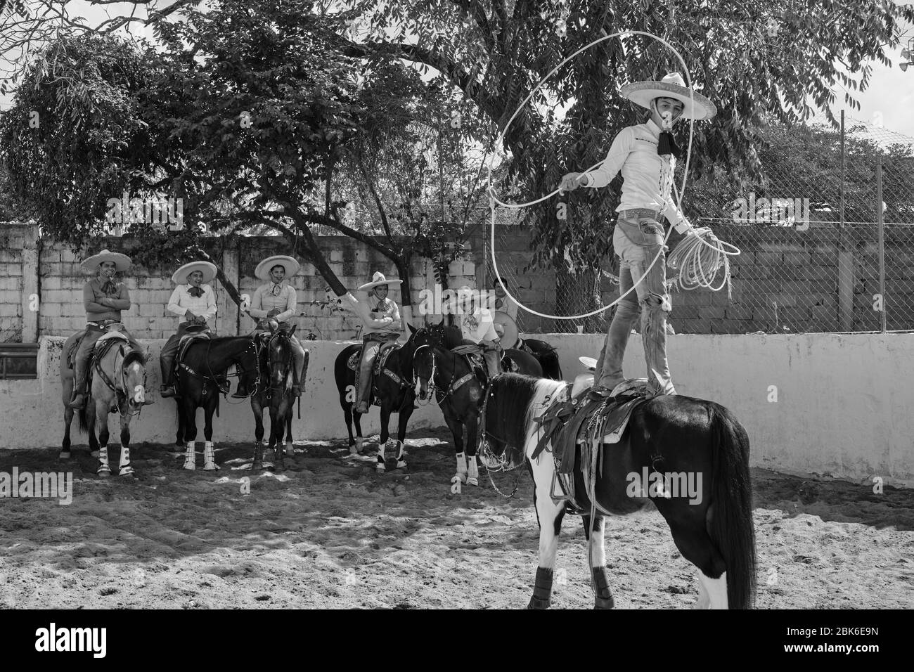 Mexican cowboy showing his skills with the lasso on top of a horse ...