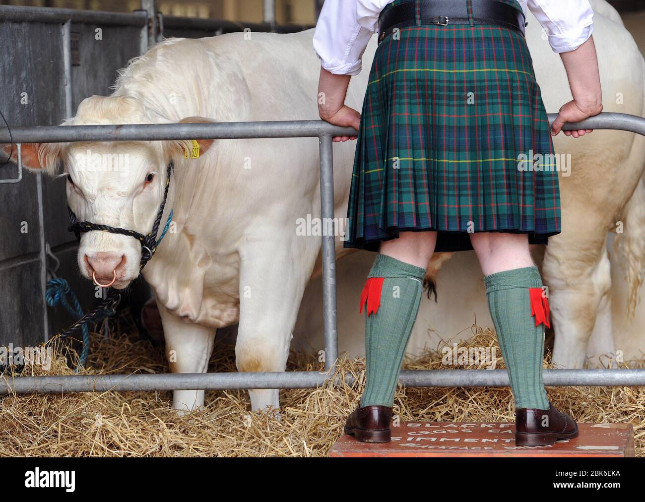 The Royal Highland Show 2012, Ingliston showground Edinburgh. Man in ...