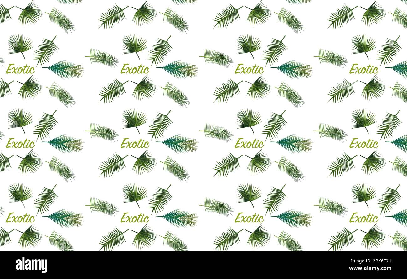Seamless Pattern. 3D realistic tropical exotic leaves. Collection palm ...
