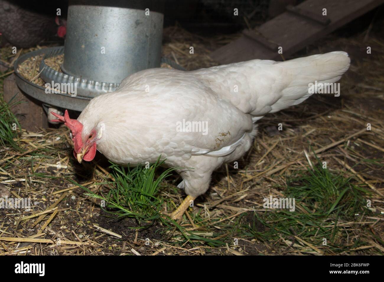 Waterer High Resolution Stock Photography and Images - Alamy