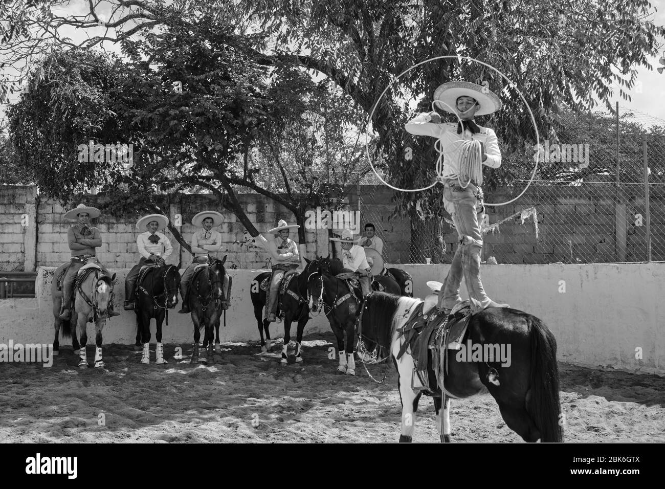 Mexican cowboy showing his skills with the lasso on top of a horse ...