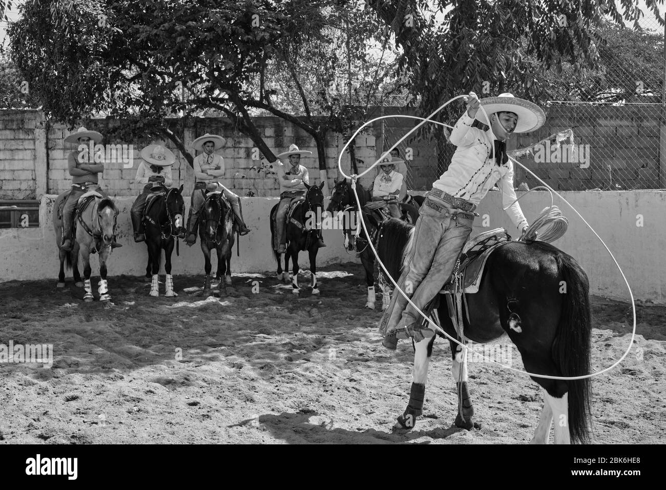 Mexican cowboy showing his skills with the lasso on top of a horse ...
