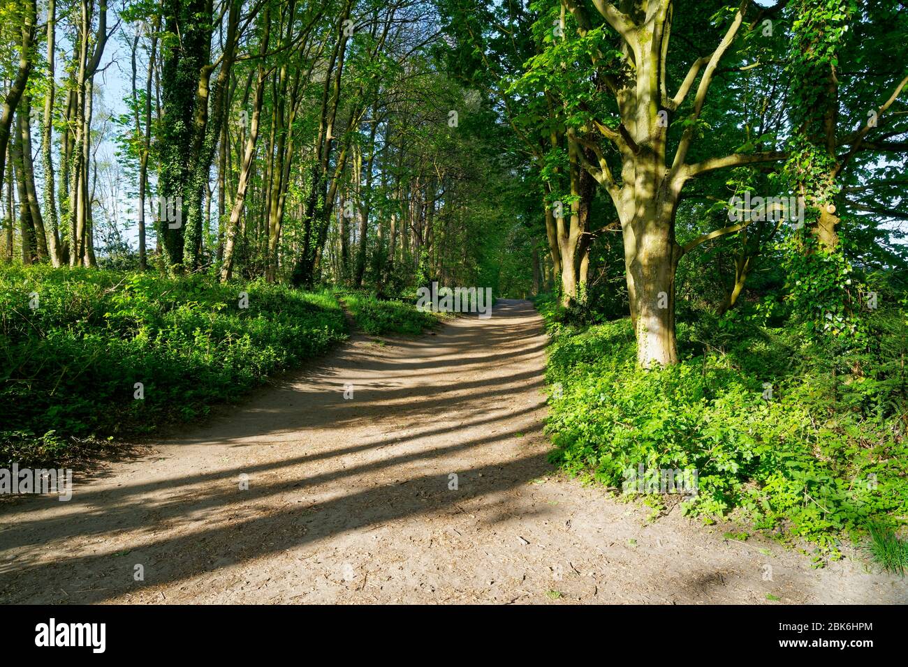 Long path behind hi-res stock photography and images - Alamy