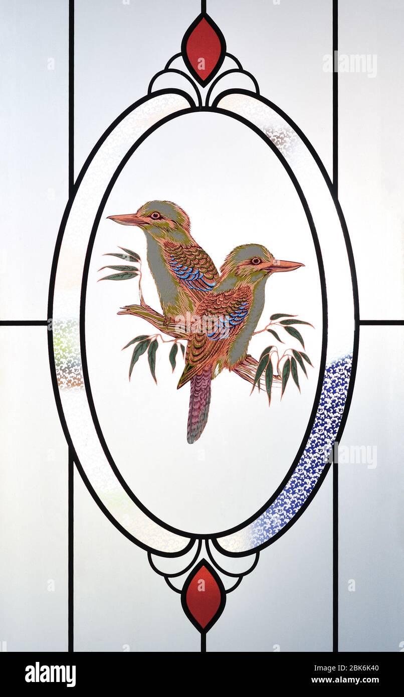 Bird and texture hi-res stock photography and images - Alamy