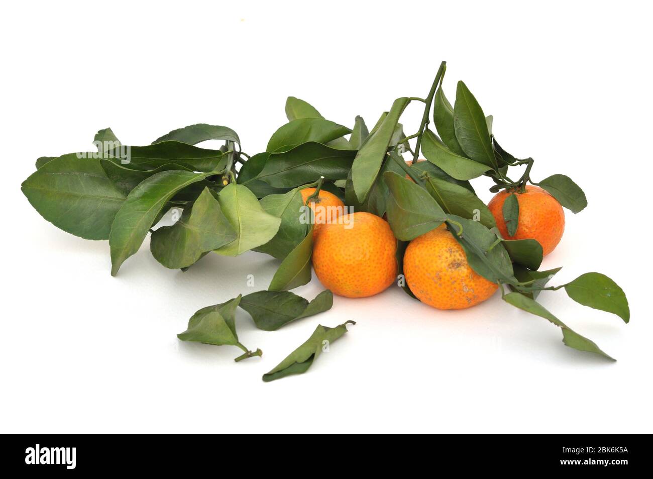 Orange growers Cut Out Stock Images & Pictures - Alamy