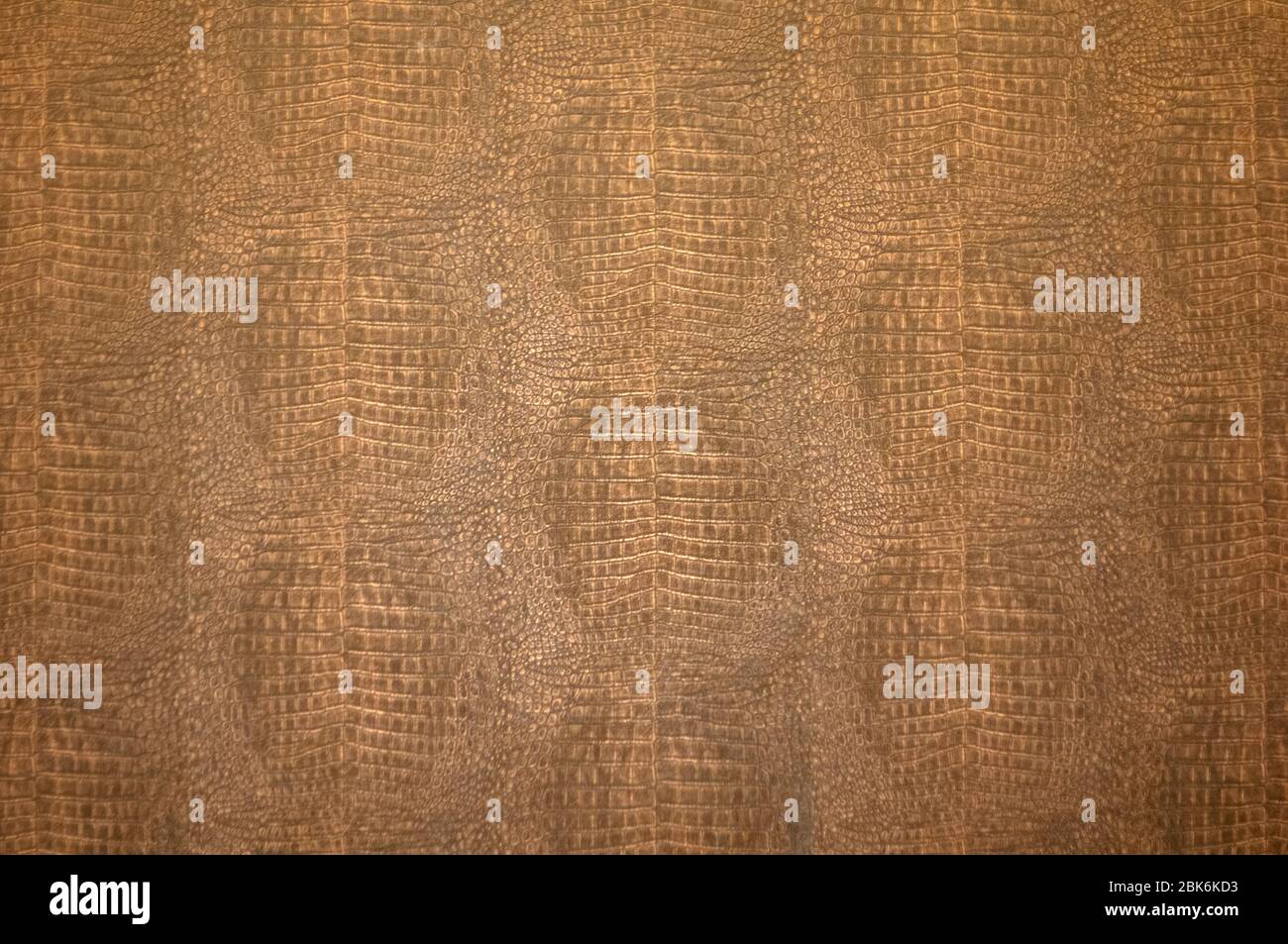 Crocodile pattern hi-res stock photography and images - Alamy
