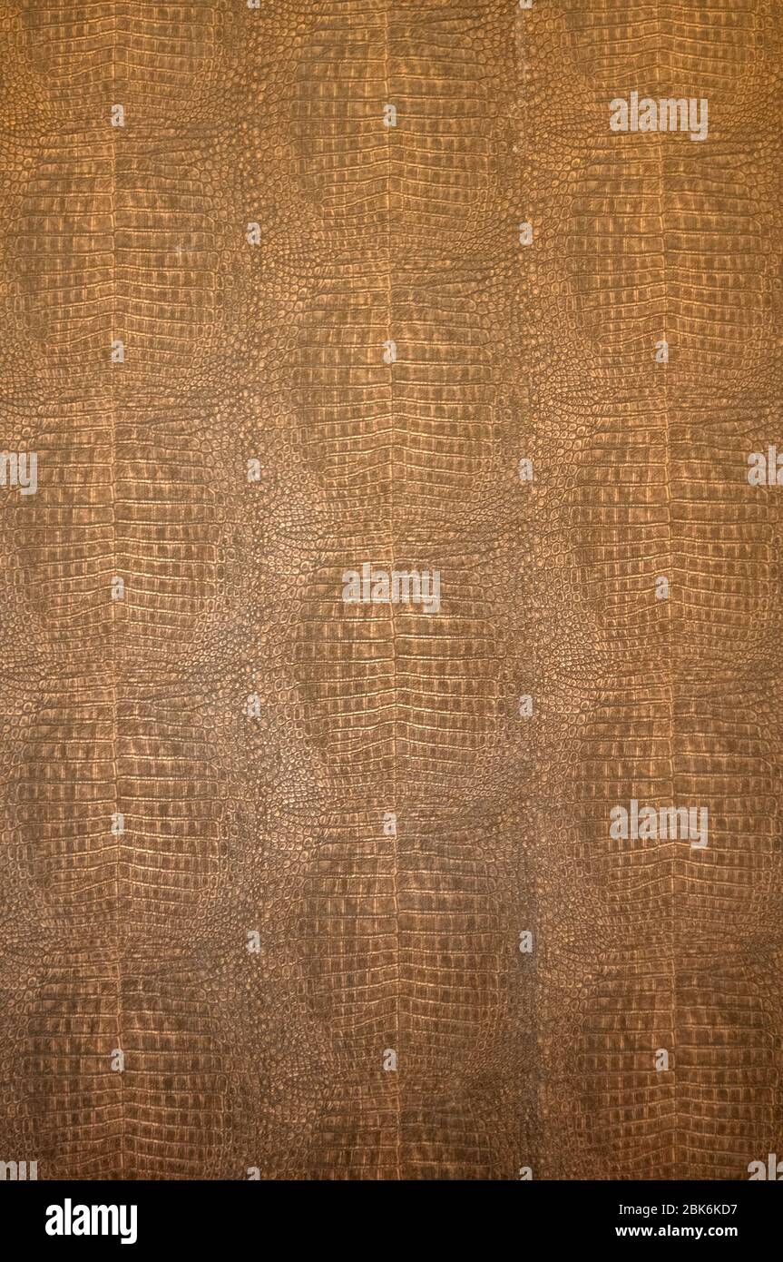 Crocodile pattern wallpaper background Stock Photo - Alamy