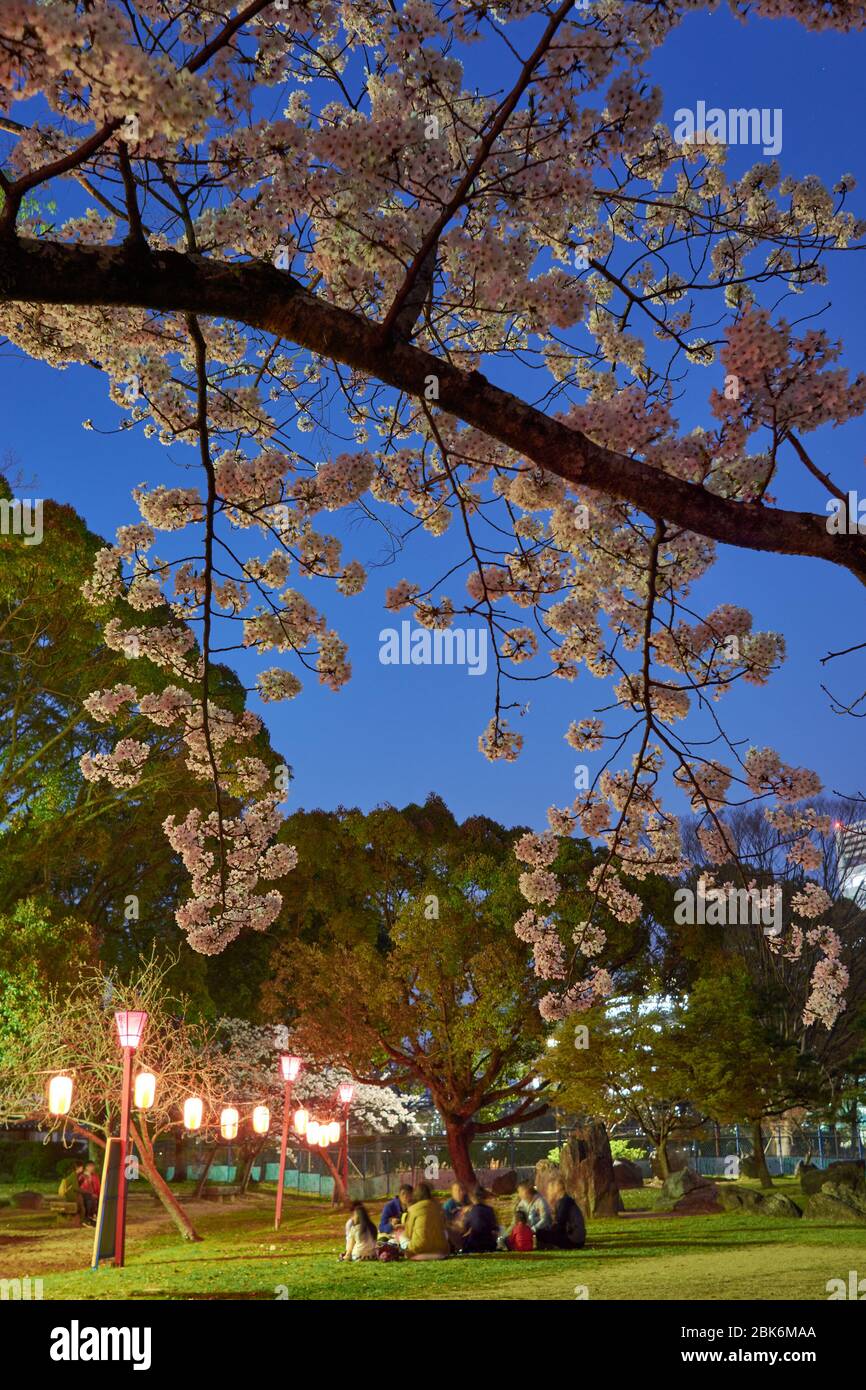 Family viewing trees hi-res stock photography and images - Alamy