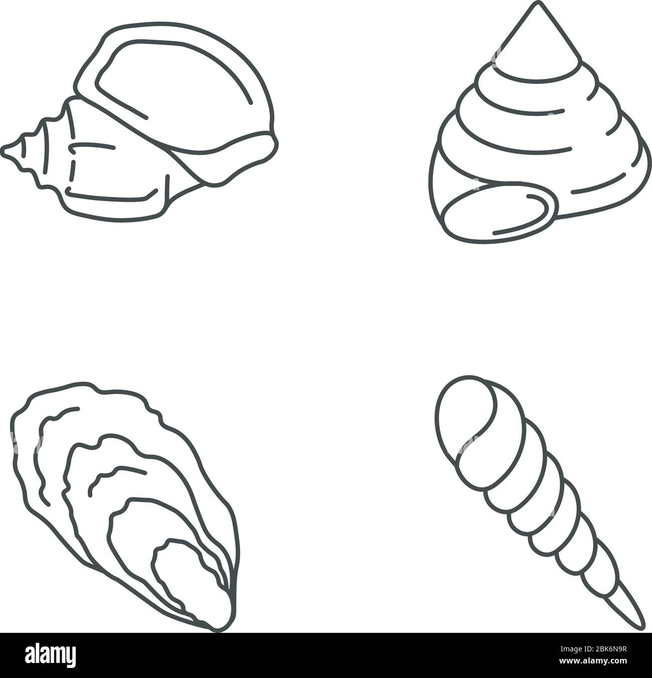 Different seashells pixel perfect linear icons set Stock Vector Image ...