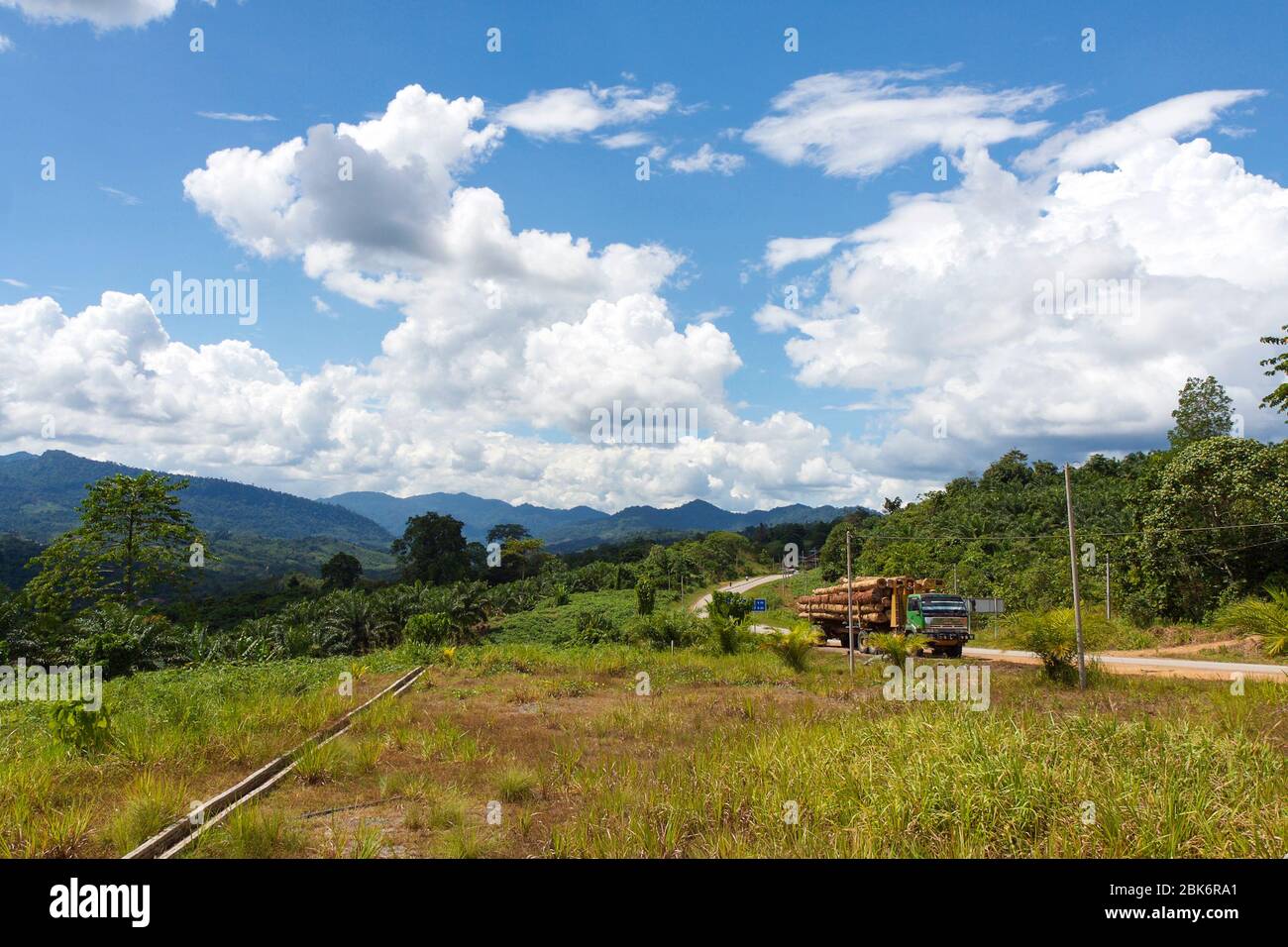 Logging culture hi-res stock photography and images - Alamy