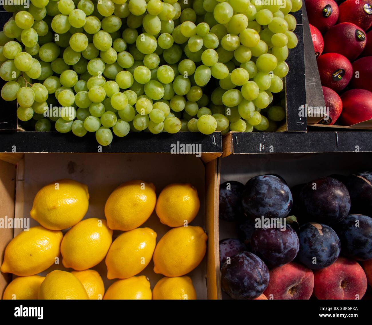 colorful variety of fruits waxy green grapes, plums, lemons, peaches in ...