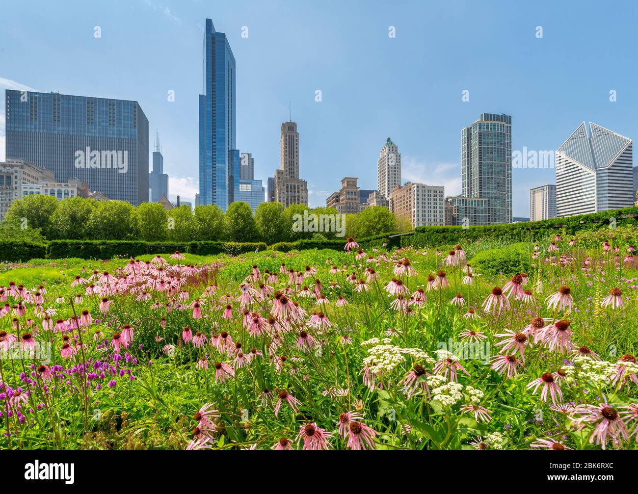 View of city skyscrapers from Millenium Park, Downtown Chicago ...
