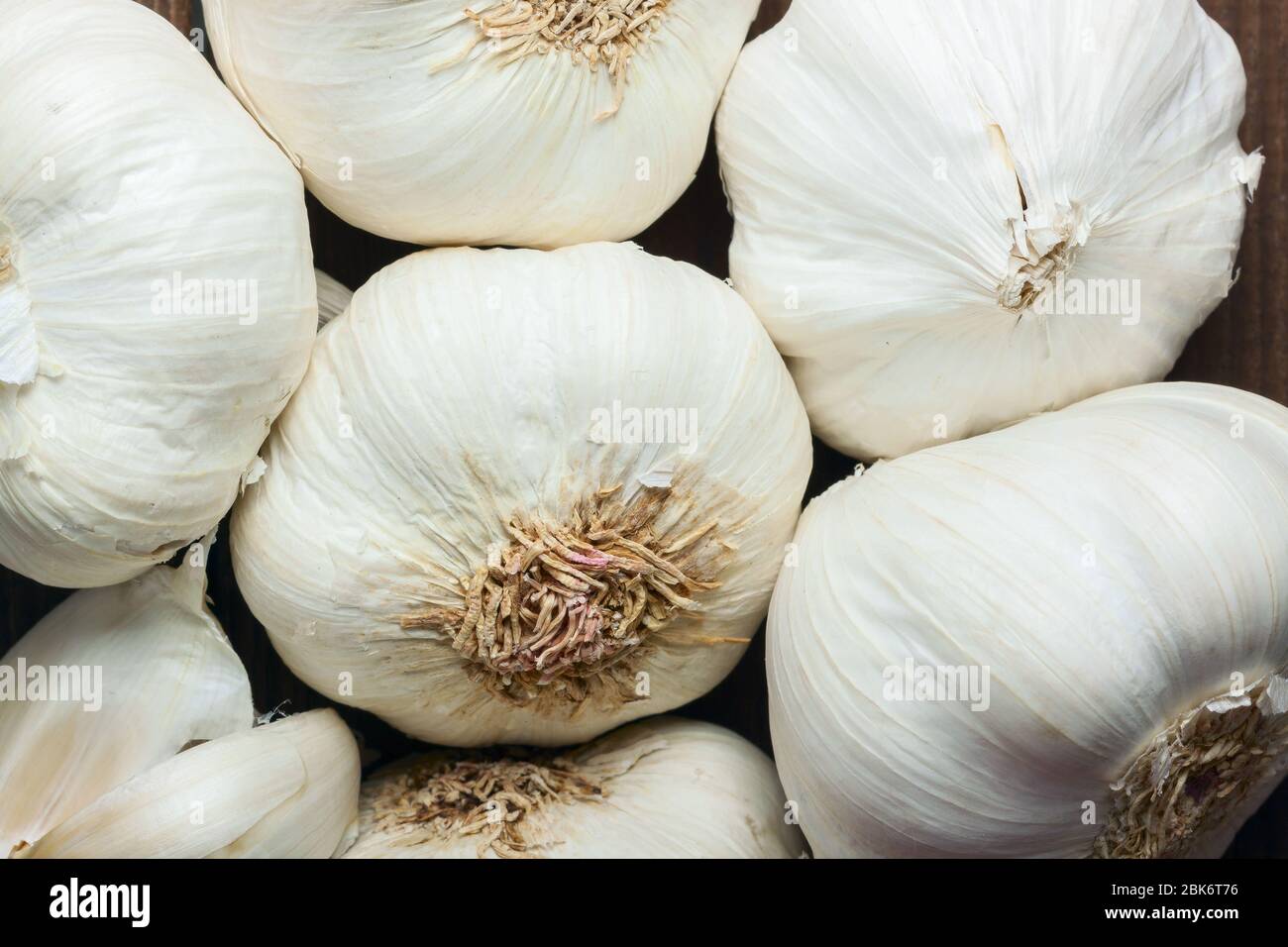 White garlic pile texture. Fresh garlic on market table closeup photo ...