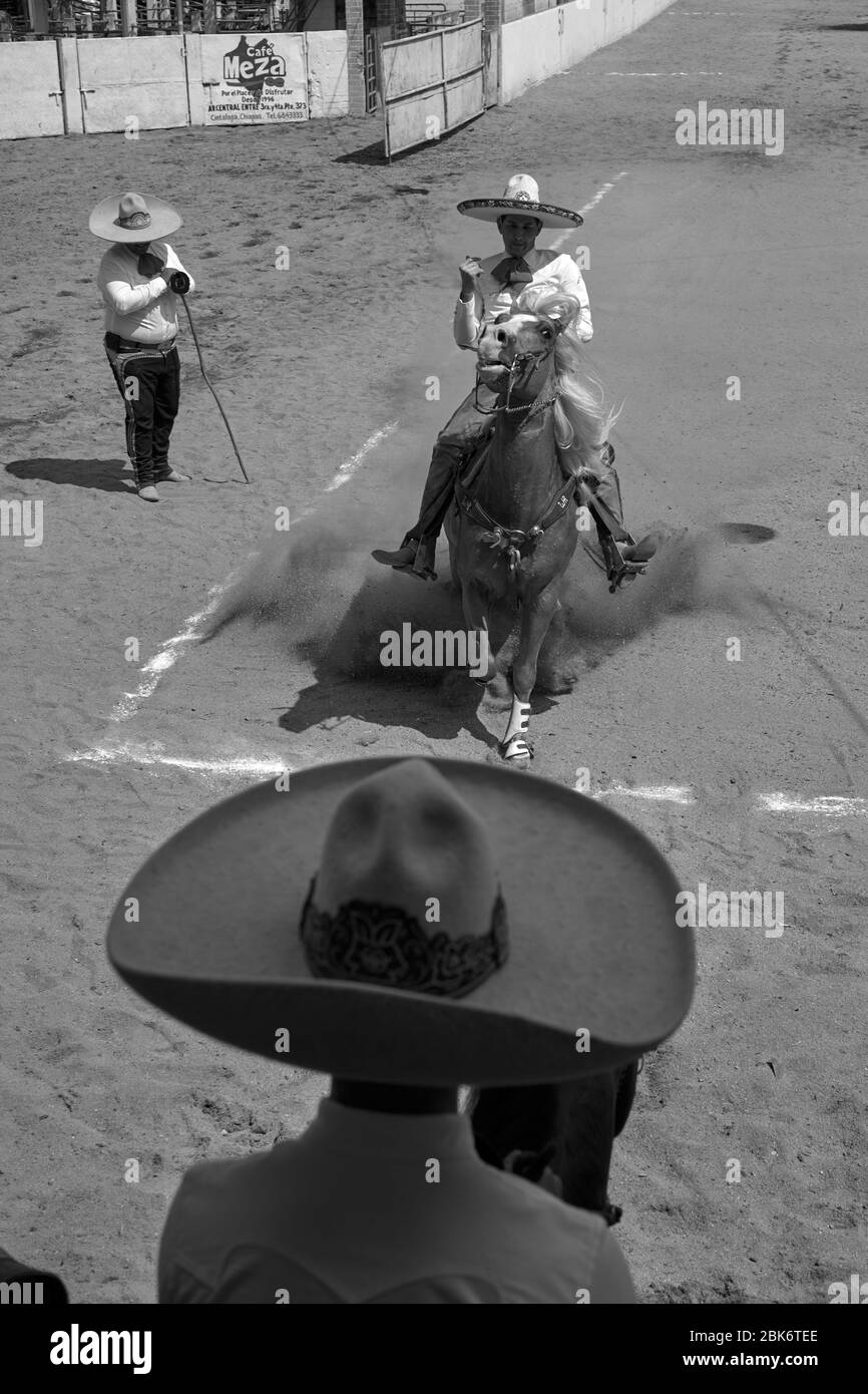 Mexican cowboy showing his skills as a horse rider during a "charreria ...