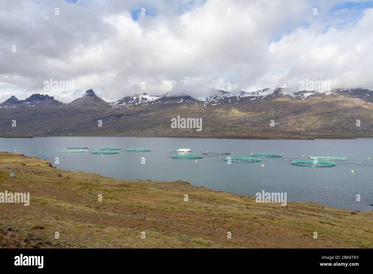 The salmon fish farm, run by Ice Fish Farm, on Berufjordur in eastern ...