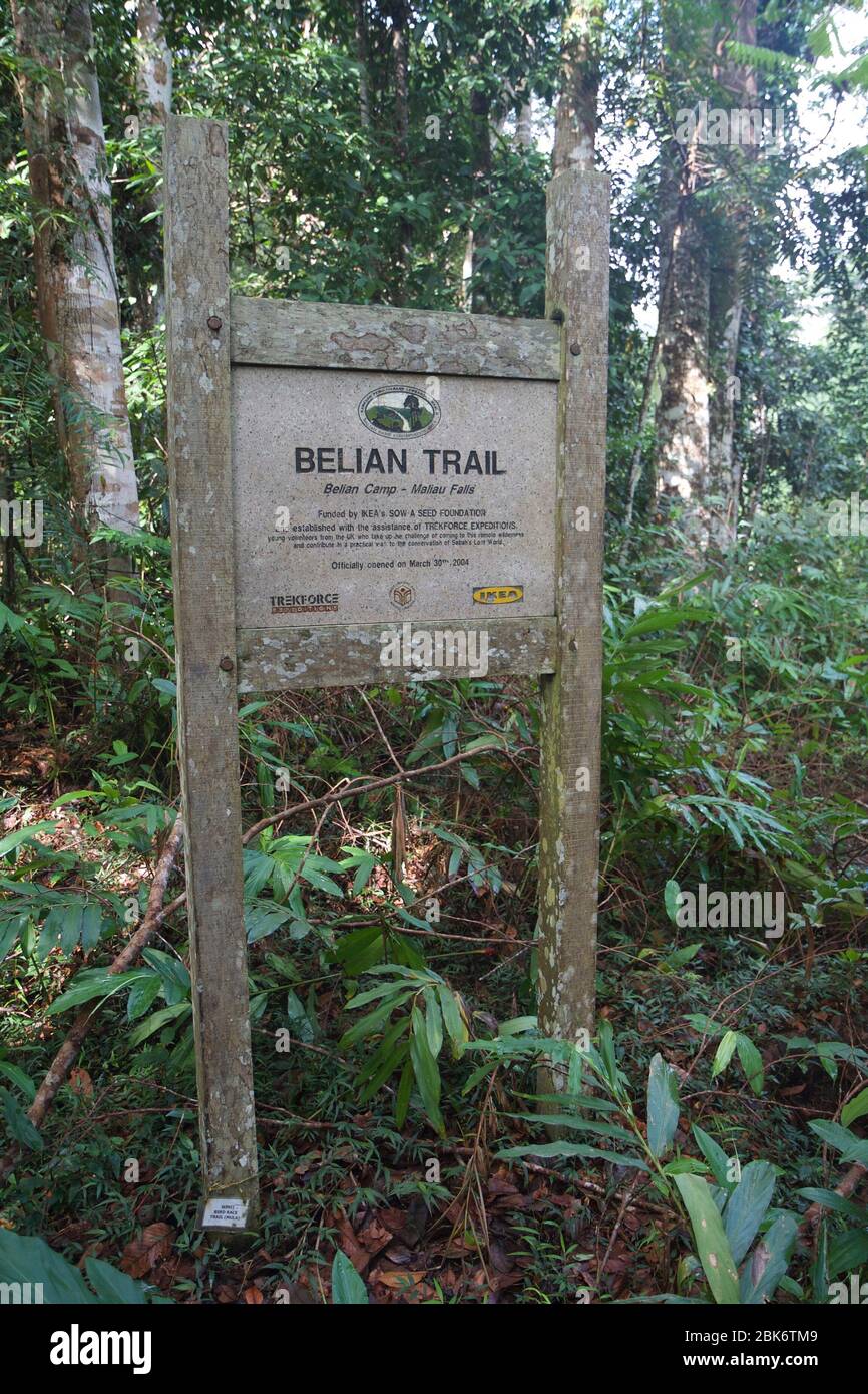 The Belian Trail, Maliau Basin Conservation Area, Sabah, Malaysia Stock ...