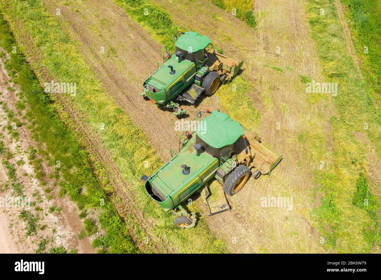 John Deere combine harvester processing a large Wheat field for Silage ...