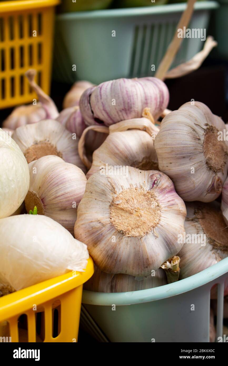 garlic in trays on farmer's market stall selective focus Stock Photo ...