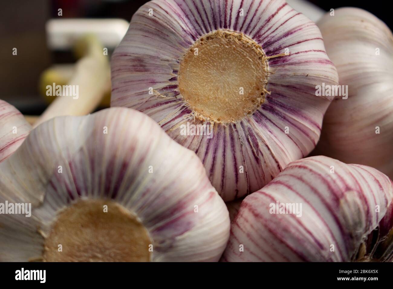 large garlic in trays on farmer's market stall close up Stock Photo - Alamy