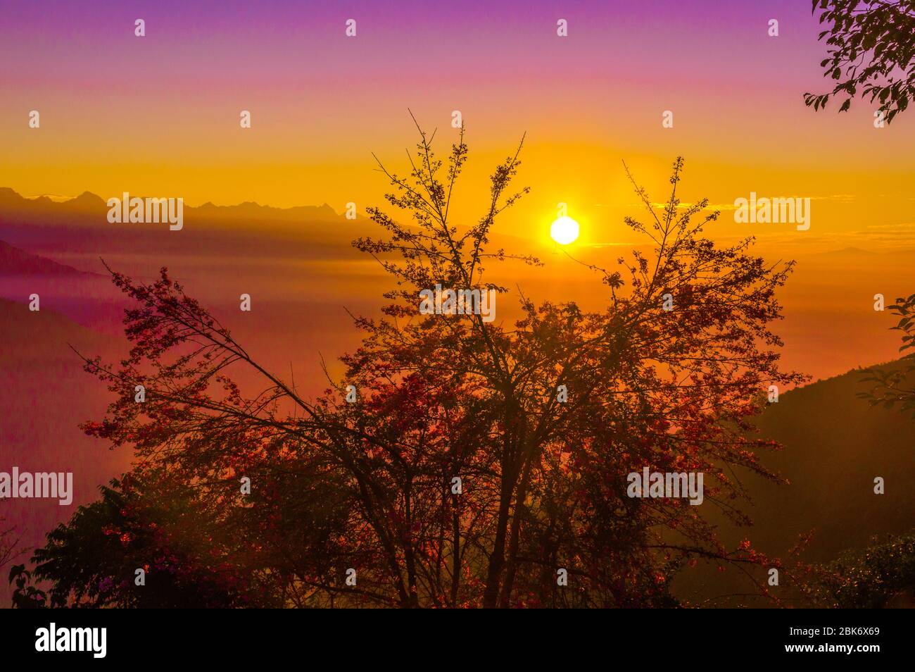 Sunrise view with cherry flower Stock Photo - Alamy