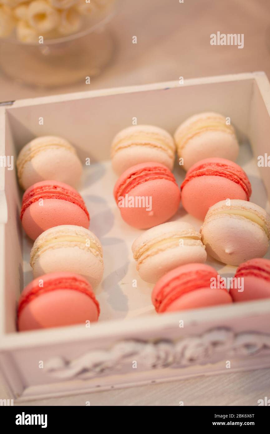 Biscuit colour hi-res stock photography and images - Alamy