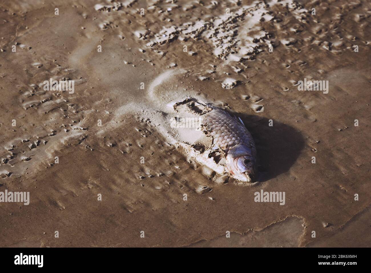 Cataclysm Pollution High Resolution Stock Photography and Images - Alamy